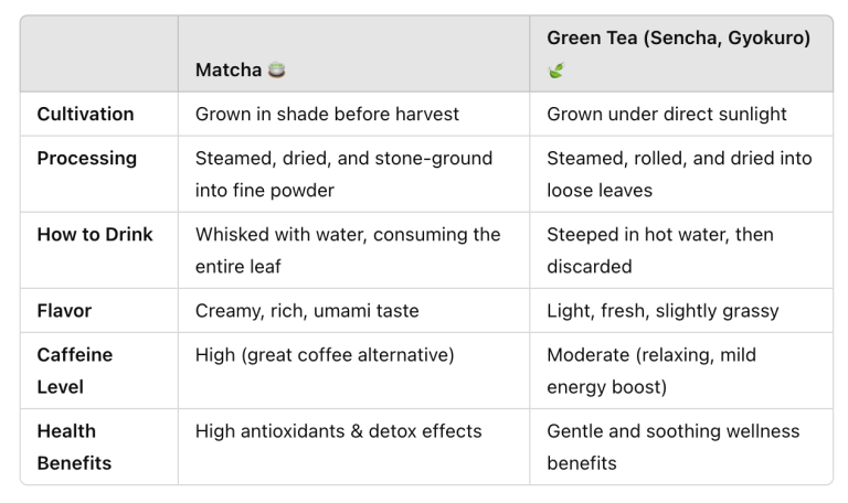 Matcha vs. Green Tea: Which One Should You Choose? – Matcha & The Green ...